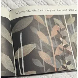 picture book | Toys | This Is Not My Hat Black And Gold Hardcover Child ...